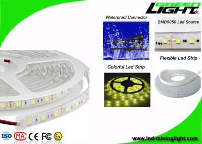 Cina Lampade fluorescenti principali all'aperto di sicurezza professionale con 60Leds/M, resistente al fuoco in vendita