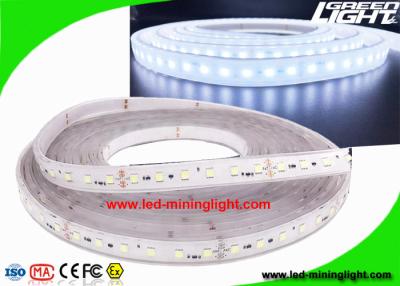 China Explosion - Proof Safety Led Flexible Ribbon Strip Lights with 5m 300 Leds 24V IP68 for sale