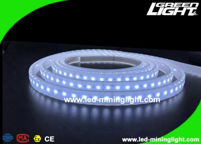 China Explosion - Proof Safety Led Flexible Ribbon Strip Lights with 5m 300 Leds 24V IP68 for sale