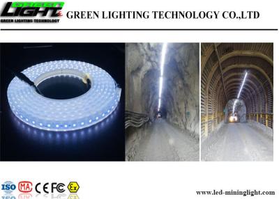 Cina Lampade fluorescenti flessibili all'aperto del LED 60 LED/m. High Brightness Fire resistente in vendita