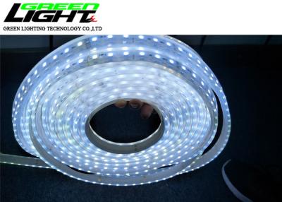 China SMD5050 17W 24V 60 Leds 85lum Led Flex Rope Light for sale