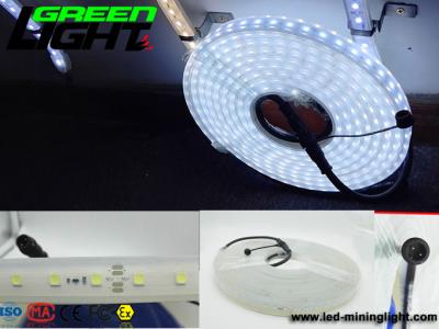 China 12v DC IP68 17W SMD5050 Flexible Led Strip Lights for sale