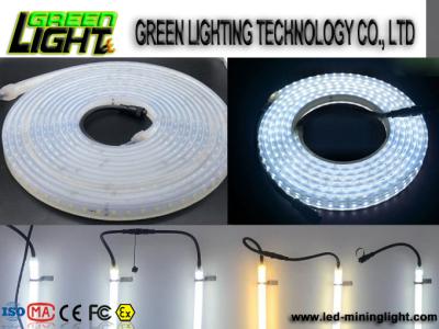 China Silicone 12w Ip68 SMD5050 Flexible Led Light Strips for sale