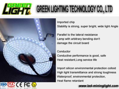 China Silicone 12w Ip68 SMD5050 Flexible Led Light Strips for sale