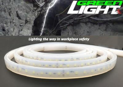 China 1630lum 220V 17W/M LED Flexible Strip Lights Anti Explosive RGB SMD2835 for sale