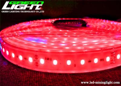 Κίνα Ελαφριά SMD5050 των εύκαμπτων υπόγειων οδηγήσεων 576LM DC36V εκρηκτική απόδειξη λουρίδων προς πώληση