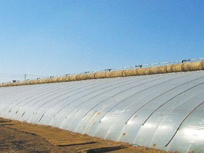 China Thin Agriculture Film Filler Masterbatch From China Supplier for sale