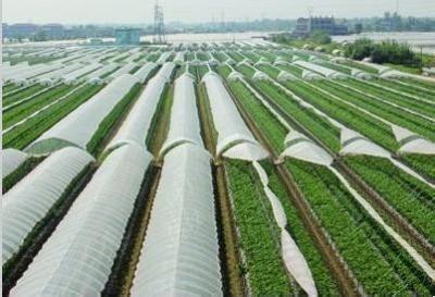 China High Quality Masterbatch from China Agriculture Film Filler for sale