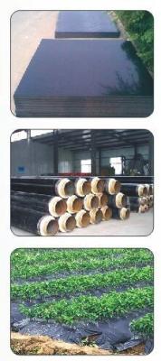 China Dehydration Masterbatch Removing Recycle HDPE Water Efficiently PE-200 for sale