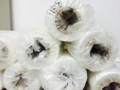 China Talc Filler Masterbatch TALC-29 for sale