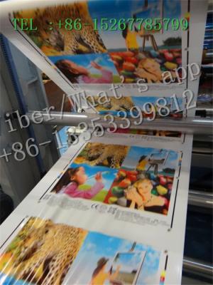 Cina Stampatrice di Flexo della borsa della bustina di 6 colori con l'essiccazione elettrica di calore in vendita