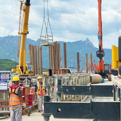 Cina ponte pedonale sostenibile / ponte in acciaio strutturale in vendita