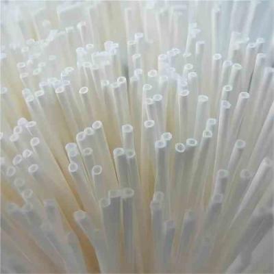 China 30-50 LMH Backwash Flux PVDF PES Hollow Fiber Ultrafiltration Membrane Filaments for MBR 10 m2 Long-Lasting Performance for sale