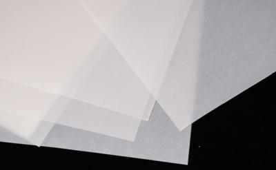 Китай Сепаратор Чистая комната Tyvek/Separator Paper Устойчивый к влаге от -70°C до 121°C продается
