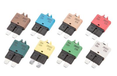 中国 車のヒューズ5-30Aの中型数手動リセット遮断器の保険のフィルムを回復しなさい 販売のため