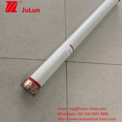 Cina Fusibili ad alta tensione 24KV 55*610mm Essenziali per trasformatori in vendita