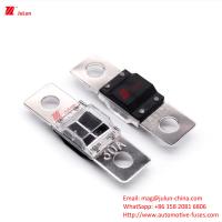 China 30A-500A Small Medium Large Fork Bolt Car Fuse  Small Medium Large for sale