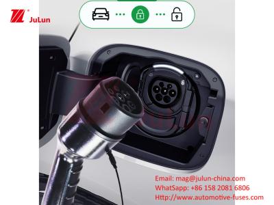 Cina Nuova pistola di ricarica energetica pistola di ricarica standard europea tipo 2 caricabatterie per veicoli elettrici portabile a bordo da 7 kW in vendita