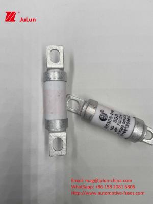중국 750VDC 세라믹 자동차 퓨즈 14. 세라믹 튜브 20x46mm 15A 40A 50A RS308 HB G 퓨즈 750VDC EV325 100A 판매용