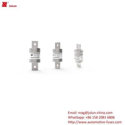 Cina Medium Bolt On Electric Vehicle Fuse Fast Charging / Ev Dc Fast Charger 500V DC in vendita