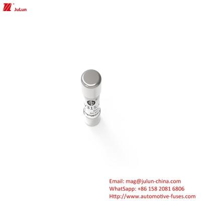 중국 500V EV 퓨즈 10A-60A DC 원형 튜브 퓨즈 EV315-C-3E OEM 판매용