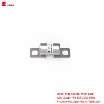 China Boxed EV AC Fuse Chargers Safeguarding Electric Vehicles With High Breaking Capacity for sale