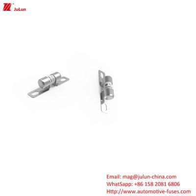 China DC250V Electric Vehicle Fast Charging  / Ev Dc Fast Charger Fuse for sale