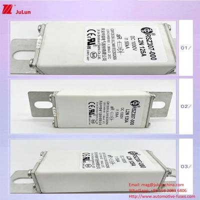 China Boxed Portable 100A Current EV Charger fuse for Electric Power Systems for sale