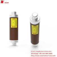 China Voltage Score Fuses For Electrical Equipment for sale