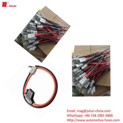 中国 Eu UL標準新エネルギー車両のシューズホルダーで手動リセット電流は30A〜100A 販売のため