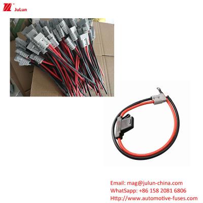 China Inline Automobil Sicherung Halter Kupfer Kontakt Schaltkreis Schutz Strom 30A-100A zu verkaufen