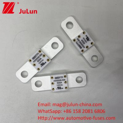 Cina Fusibili per batterie automobilistiche in ceramica e metallo 125VDC 300A in vendita