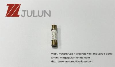 중국 600V 500V 5x20mm 시간 지연 세라믹 튜브 퓨즈 판매용