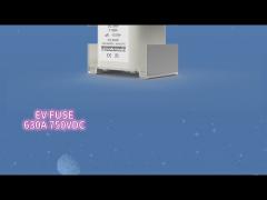 Electric Vehicle Fuse