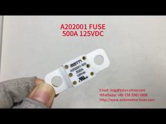10.3*65.5mm Ceramic EV Fuse 20A Automotive Battery Charger For DC Fast Fuse