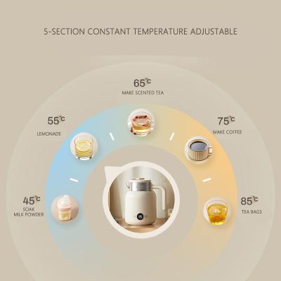 China OEM Electric Cordless Tea Kettle Temperature Control With LED Display for sale