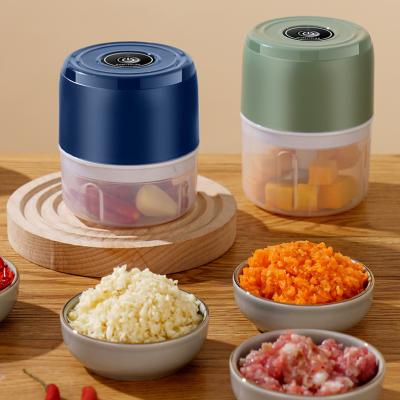 Cina Picciatore di aglio elettrico di plastica senza fili Mini Capacità 100ml in vendita