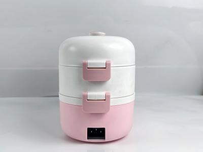 Cina Cucina elettrica a doppio livello con accessori di stoccaggio a vuoto in vendita
