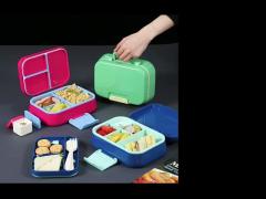 Dishwasher Safe and Bpa-Free Plastic Bento Lunch Box with 800-1000ml Capacity
