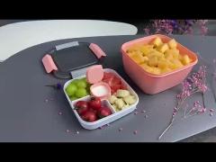 1500 ml Salad Lunch Container