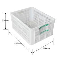 China White Transport Stackable Plastic Crate Plastic Folding Storage Boxes for sale