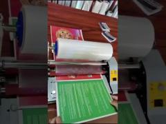 Échantillon de film BOPP holographique transparent de taille A4 pour la stratification à froid
