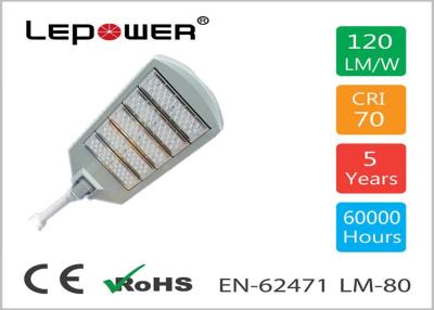 Cina 120Lm/iluminazioni pubbliche principali all'aperto impermeabili di W IP66 250W con 5 anni di parco della garanzia disponibile in vendita