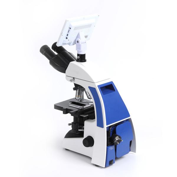 Quality Three-Eye Hinged Observation Tube Microscope for Bacterial Observation in for sale