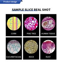 China Portable Optical Microscope 40X-1600X Monocular 90 Degree Straight Barrel for Laboratory Teaching for sale