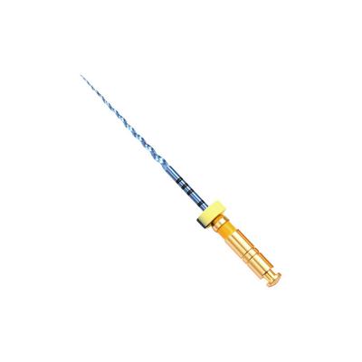 China Triangle Cross Section Dental Endo Files , B1 NITI M Wire Endodontic Files for sale