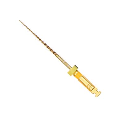 China TX-Gold Engine, NITI W-Mire Gold Taper File,root canal instruments, ISO, used for dental for sale