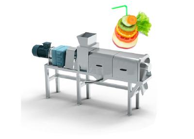 China Industrial Automatic Double Screw Berry Pineapple Apple Grape Herb Vegetable Fruit Juice Squeezing Machine for sale