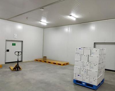 China Customizable B1 Fireproof PU Panel for Cold Storage Insulation for sale