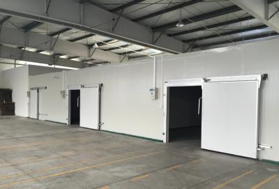 China Customizable Cold Storage Panels For Controlled Temperature Environments for sale